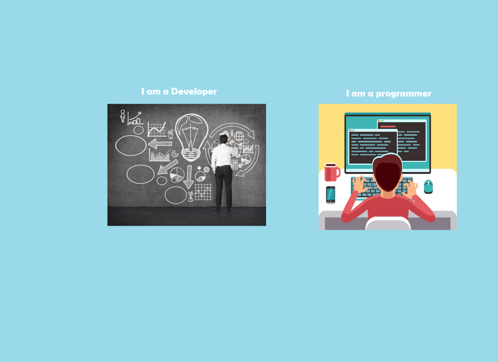 Developers or Programmers Developers or Programmers