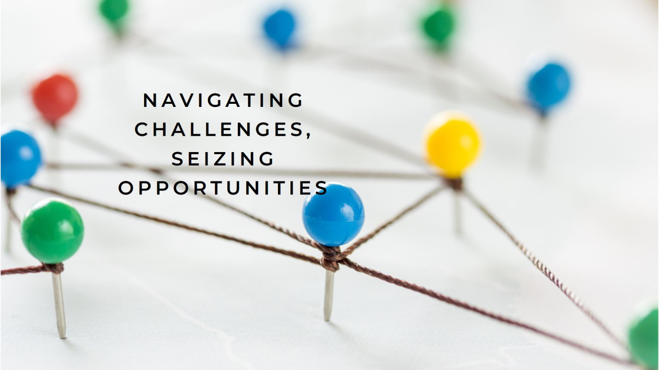 SMEs in India: Navigating Challenges, Seizing Opportunities SMEs in India: Navigating Challenges, Seizing Opportunities