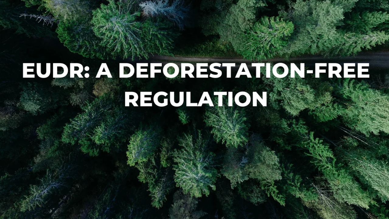 Understanding European Union Deforestation Regulation (EUDR) Understanding European Union Deforestation Regulation (EUDR)
