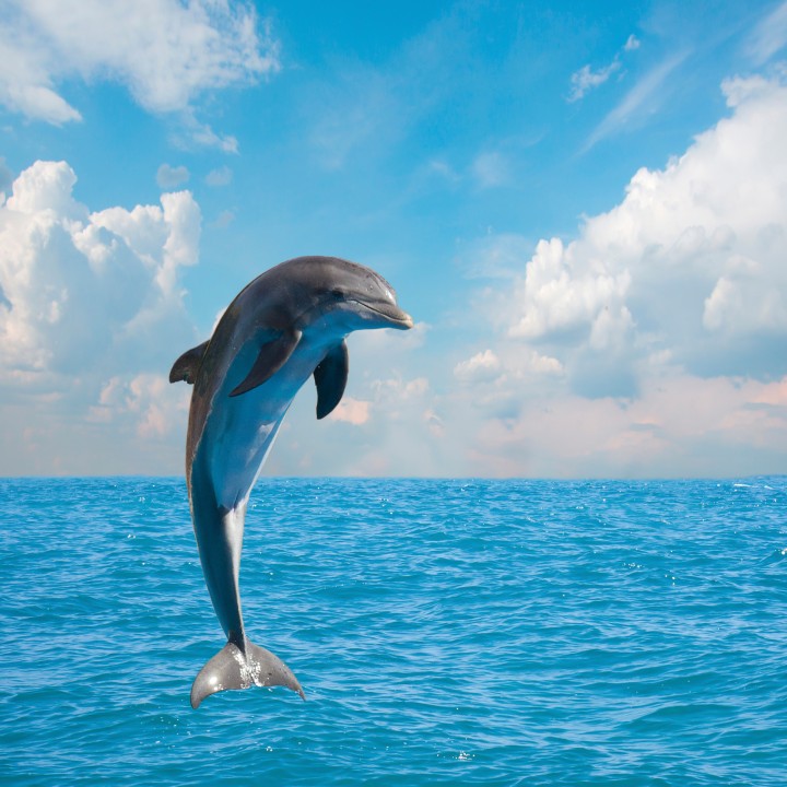 InnoDB Locking: Balancing Performance and Consistency in MySQL InnoDB Locking: Balancing Performance and Consistency in MySQL