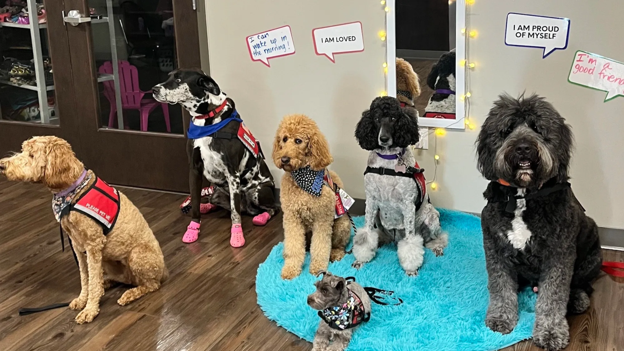 Therapy Dogs Offer Joyful Relief at The Salvation Army Booth Program in ... Therapy Dogs Offer Joyful Relief at The Salvation Army Booth Program in ...