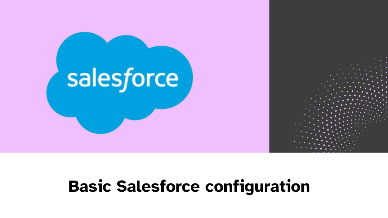 Basic salesforce configuration Basic salesforce configuration