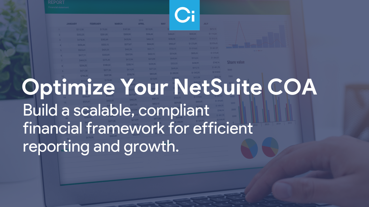 NetSuite Chart of Accounts (COA) Best Practices: Building a Scalable ... NetSuite Chart of Accounts (COA) Best Practices: Building a Scalable ...