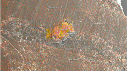 Rapid Identification of Foreign Materials Using SEM and EDS Techniques Rapid Identification of Foreign Materials Using SEM and EDS Techniques