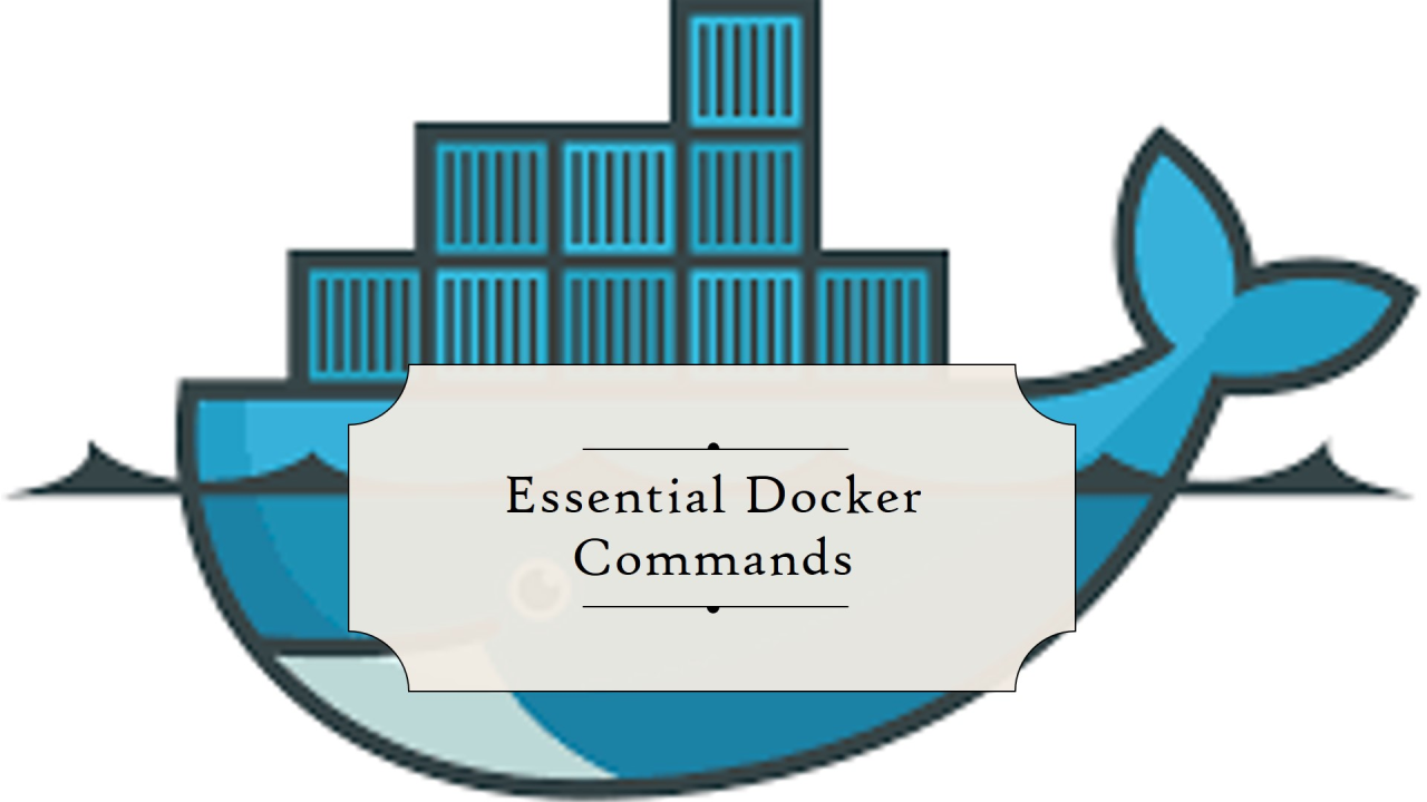🌟 Exploring Docker: Essential Commands for Every Developer 🚀 🌟 Exploring Docker: Essential Commands for Every Developer 🚀