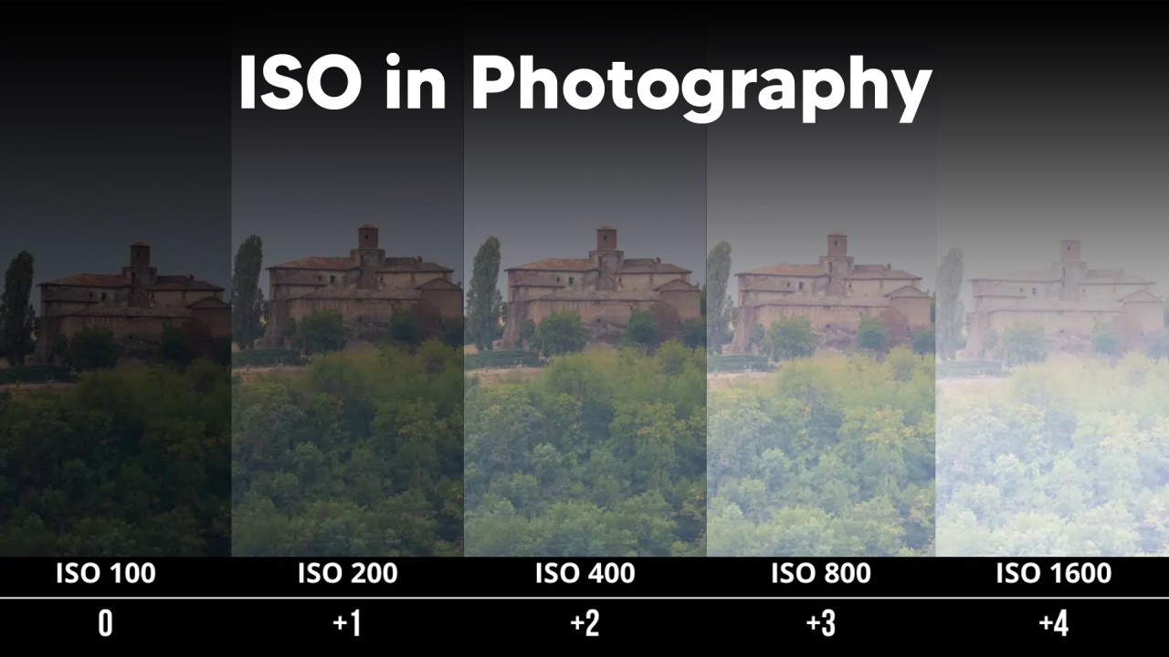 Understanding ISO in Photography Understanding ISO in Photography