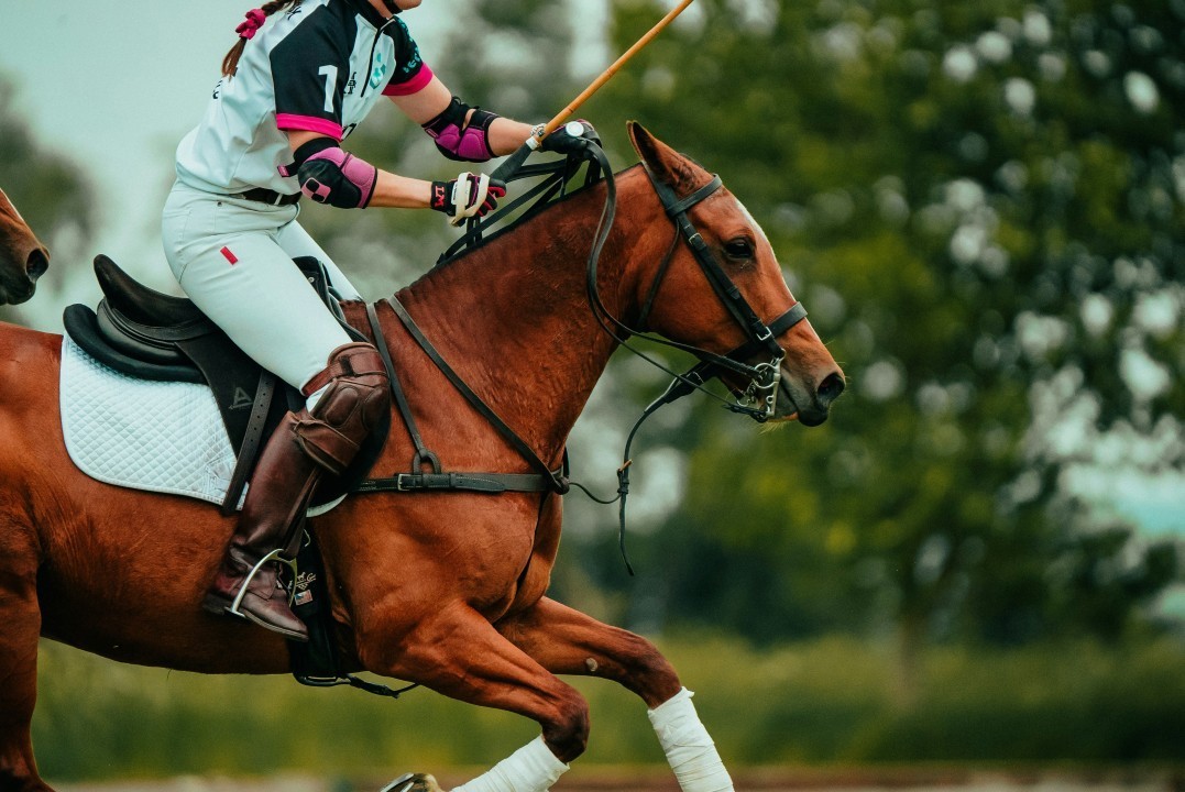 Embarking on a Digital Odyssey: Revolutionizing Equestrian Sports with ... Embarking on a Digital Odyssey: Revolutionizing Equestrian Sports with ...