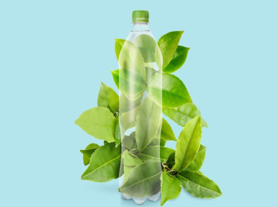 Synthetic and Bio-based Biodegradable Plastics Market to Witness ... Synthetic and Bio-based Biodegradable Plastics Market to Witness ...
