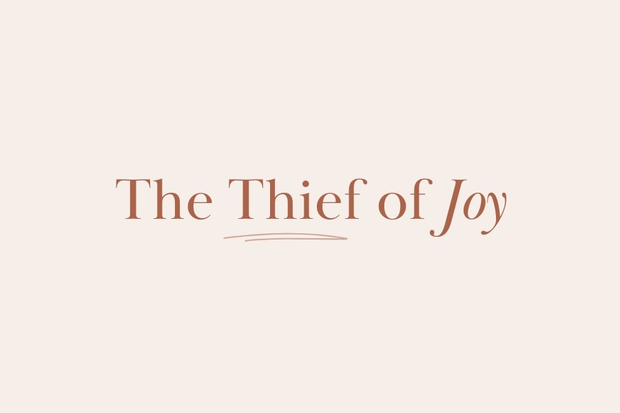 The Thief of Joy The Thief of Joy