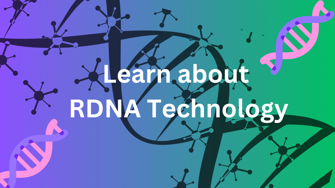 Unleashing the Power of RDNA Technology: A Deep Dive Unleashing the Power of RDNA Technology: A Deep Dive