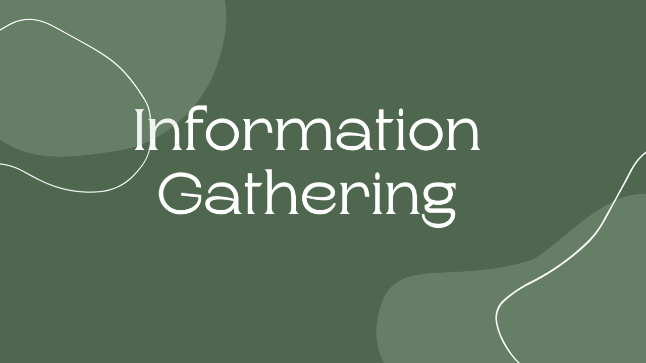Information Gathering Tools Information Gathering Tools