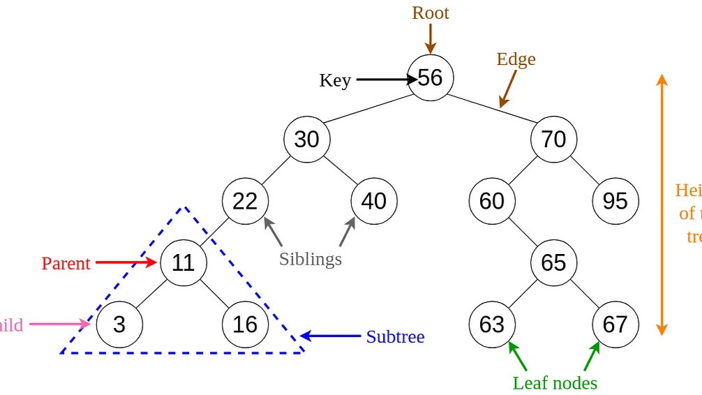 The Binary Search Tree (BST) The Binary Search Tree (BST)