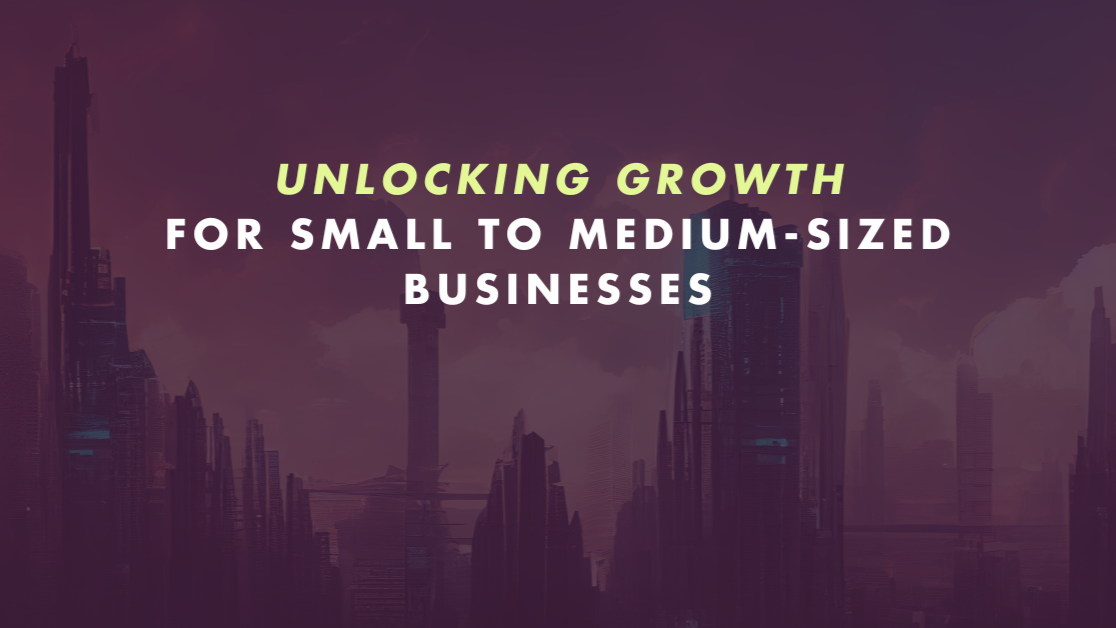 Unlocking Growth: Private Equity Infrastructure Opportunities for SMBs Unlocking Growth: Private Equity Infrastructure Opportunities for SMBs