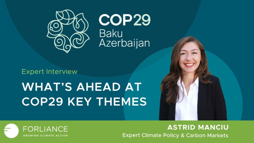COP29 Kicks Off in Baku: Paving the Way for Decisive Climate Action COP29 Kicks Off in Baku: Paving the Way for Decisive Climate Action