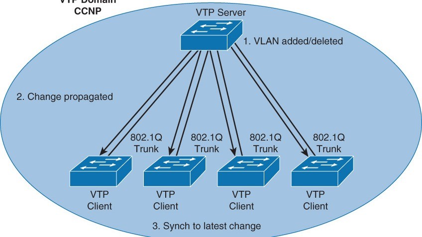 Understanding VLAN Trunking Protocol (VTP) in Networking: Simplifying ... Understanding VLAN Trunking Protocol (VTP) in Networking: Simplifying ...