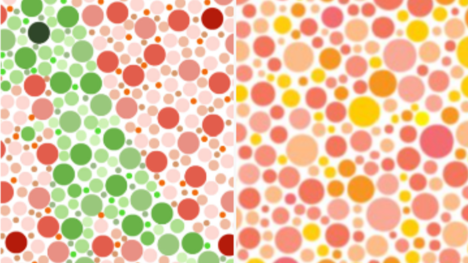 A Non-Apparent Disabilities Perspective A Non-Apparent Disabilities Perspective