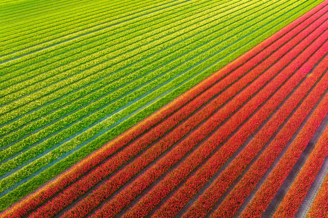 Enhancing Agricultural Precision with Tayrix Enhancing Agricultural Precision with Tayrix