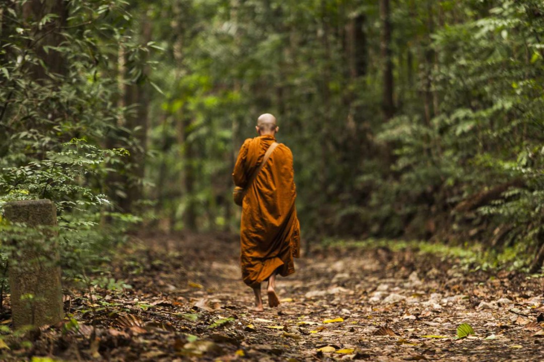 Meditation: Finding Peace in the Busy Modern World Meditation: Finding Peace in the Busy Modern World