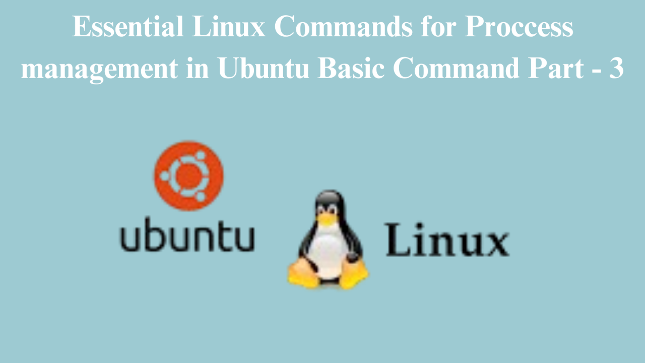 Essential Linux Commands for Proccess management in Ubuntu Basic ... Essential Linux Commands for Proccess management in Ubuntu Basic ...