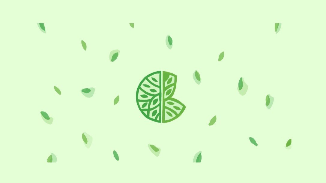 Biophilic Design Trends: 2024 in Review 🌿 Biophilic Design Trends: 2024 in Review 🌿