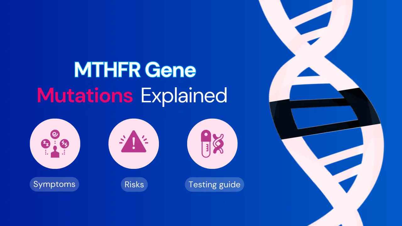 MTHFR Gene Mutations Explained: Symptoms, Risks & Testing Guide MTHFR Gene Mutations Explained: Symptoms, Risks & Testing Guide