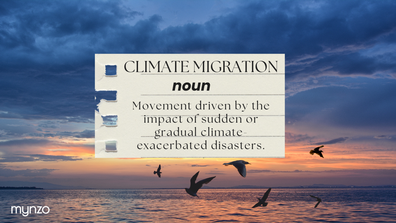Navigating a Rapidly Changing World Through Shifting Migration Patterns Navigating a Rapidly Changing World Through Shifting Migration Patterns