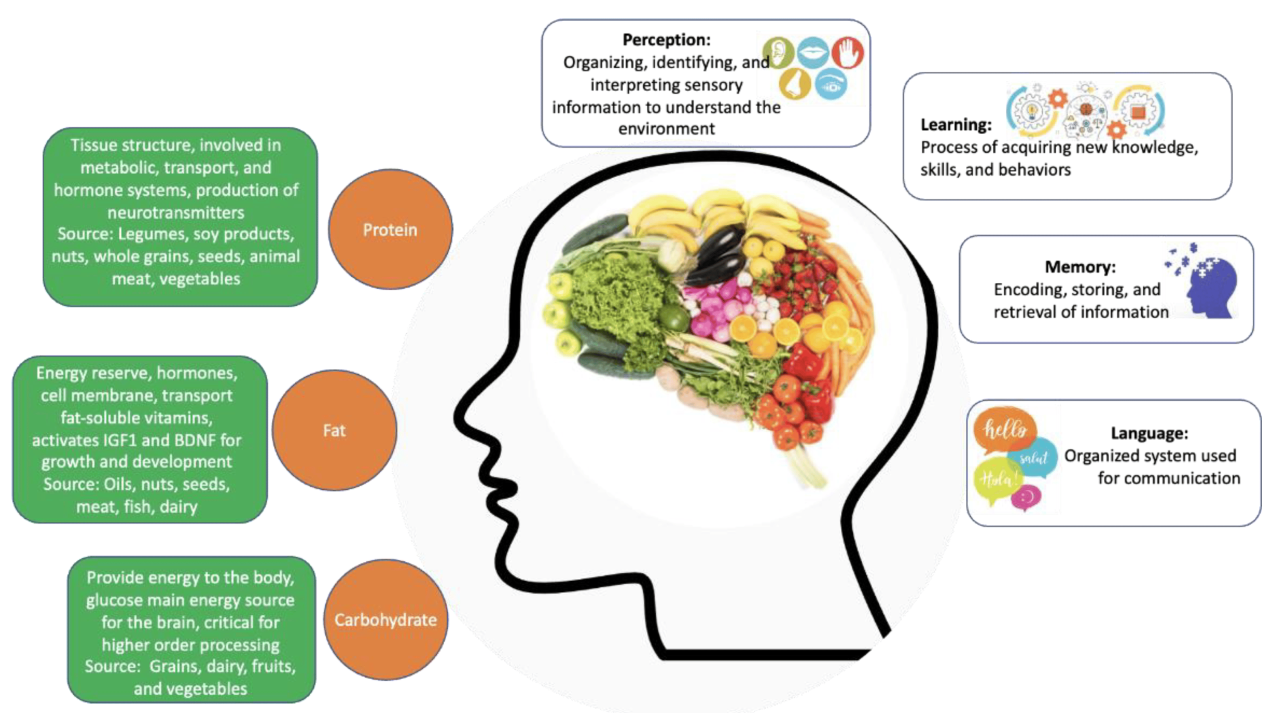 Nutritional Neuroscience: Micronutrients in Neurotransmitter Synthesis ... Nutritional Neuroscience: Micronutrients in Neurotransmitter Synthesis ...