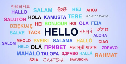 Harnessing the Power of Native Languages: Maximizing Insights with ... Harnessing the Power of Native Languages: Maximizing Insights with ...