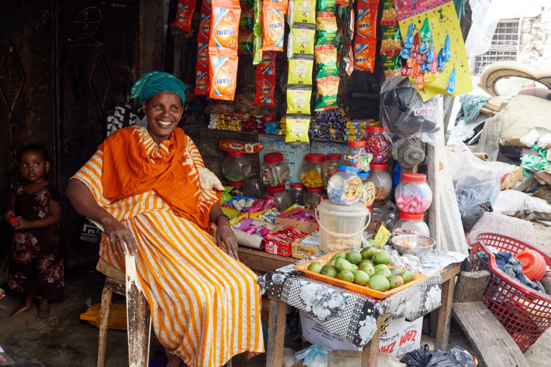 From Struggles to Success: The Challenges and Opportunities for Somali ... From Struggles to Success: The Challenges and Opportunities for Somali ...