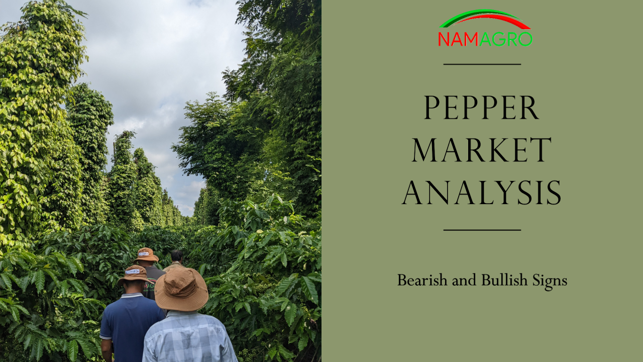 Overview of the Pepper Market - Bearish and Bullish signs Overview of the Pepper Market - Bearish and Bullish signs