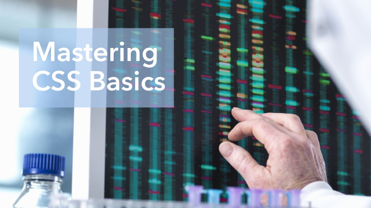 🎨 Mastering CSS Basics: Unlock the Power of Styling 🎨 🎨 Mastering CSS Basics: Unlock the Power of Styling 🎨