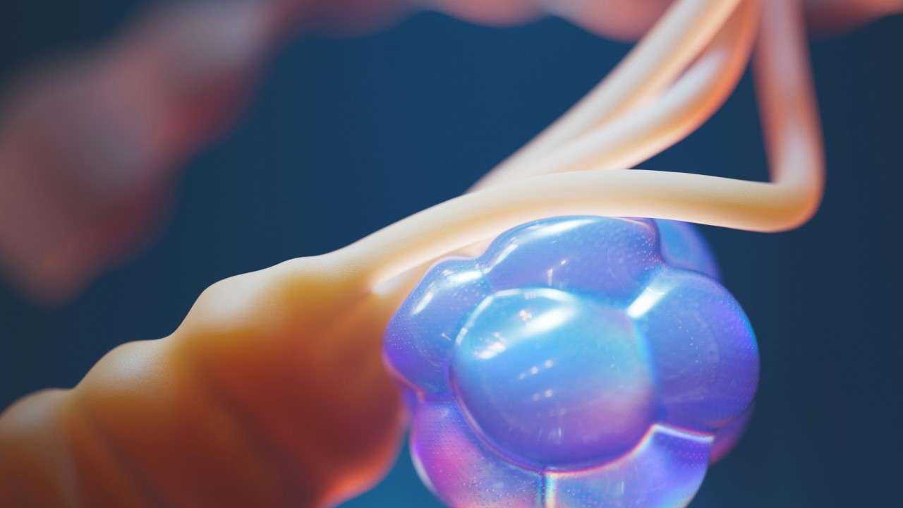 The Transformative Impact of Artificial Intelligence on Modern Biology The Transformative Impact of Artificial Intelligence on Modern Biology