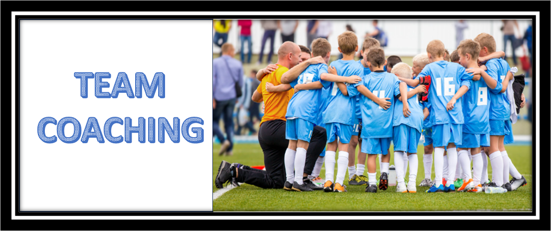 Leadership: Coaching Techniques to Elevate Your Team Leadership: Coaching Techniques to Elevate Your Team