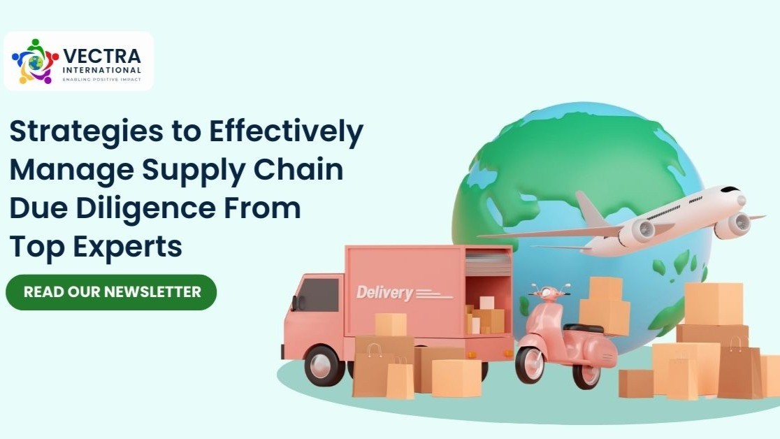 Strategies for Effective Supply Chain Due Diligence: Insights from ... Strategies for Effective Supply Chain Due Diligence: Insights from ...