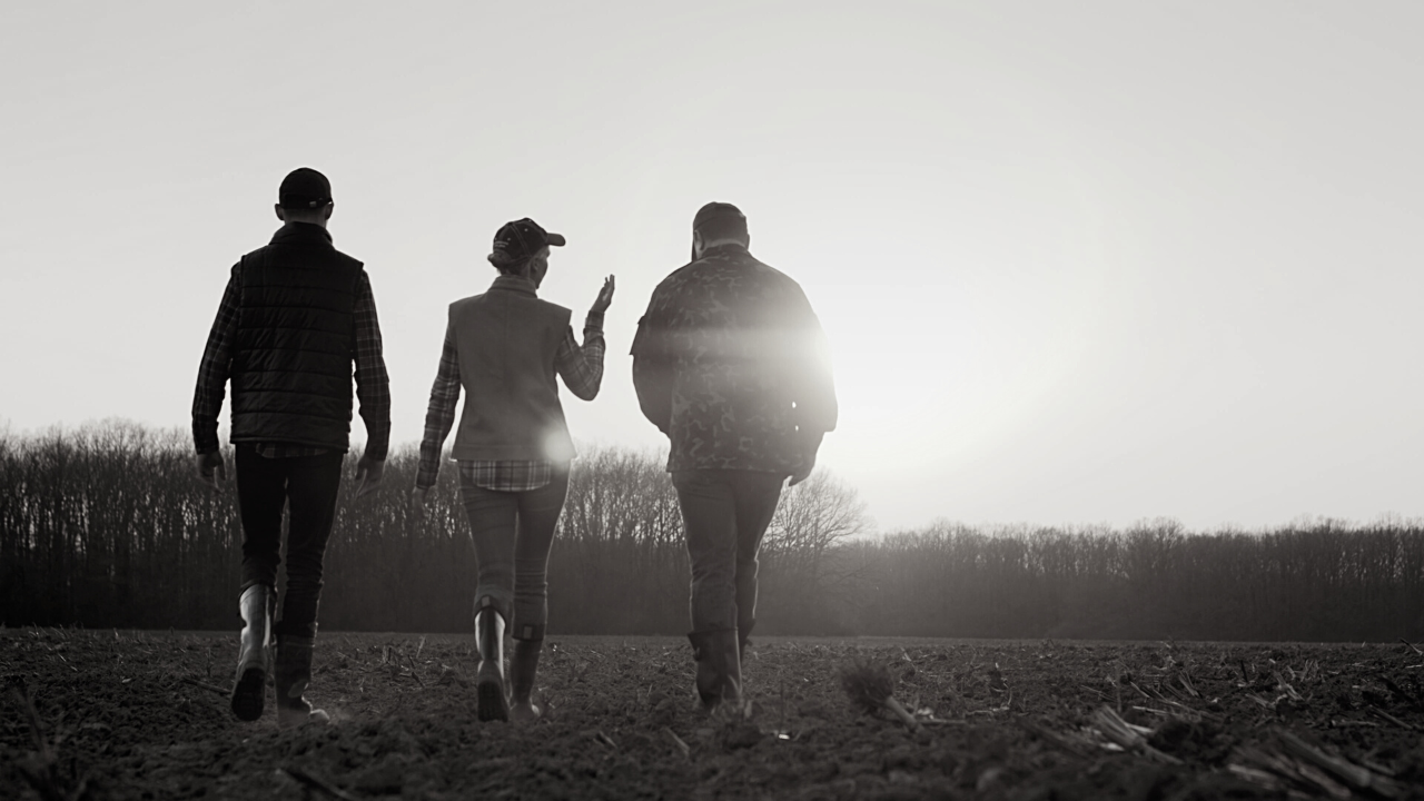 Succession Planning: 5 Questions to Ask Succession Planning: 5 Questions to Ask