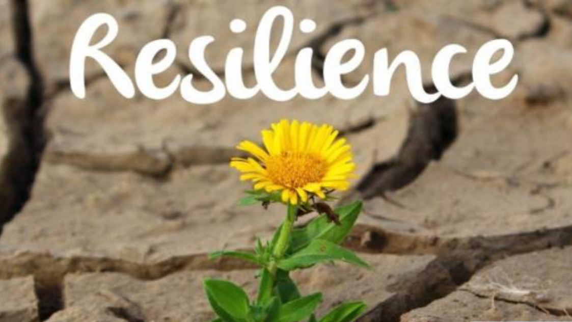 How Resilience Can Help You Achieve Self-Mastery How Resilience Can Help You Achieve Self-Mastery