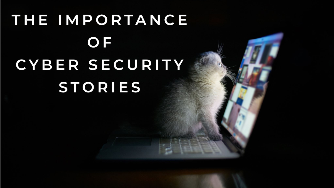 Why Stories Matter in Cyber Security Why Stories Matter in Cyber Security