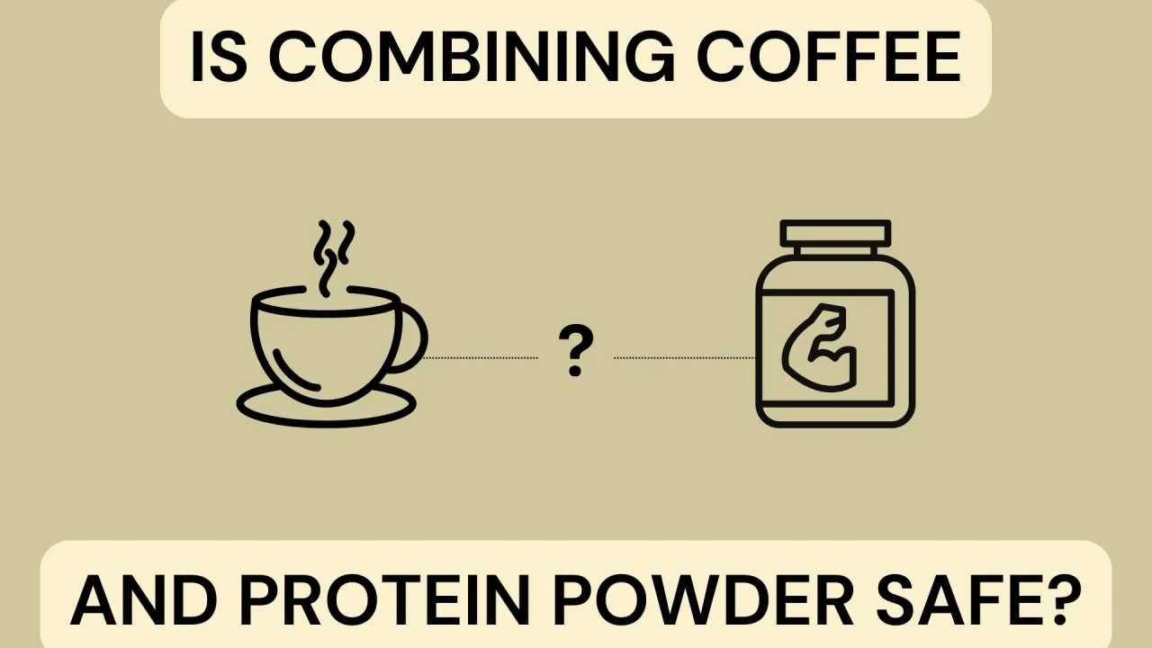 Is Coffee And Protein Powder Combination Safe? Experts Weigh In Is Coffee And Protein Powder Combination Safe? Experts Weigh In