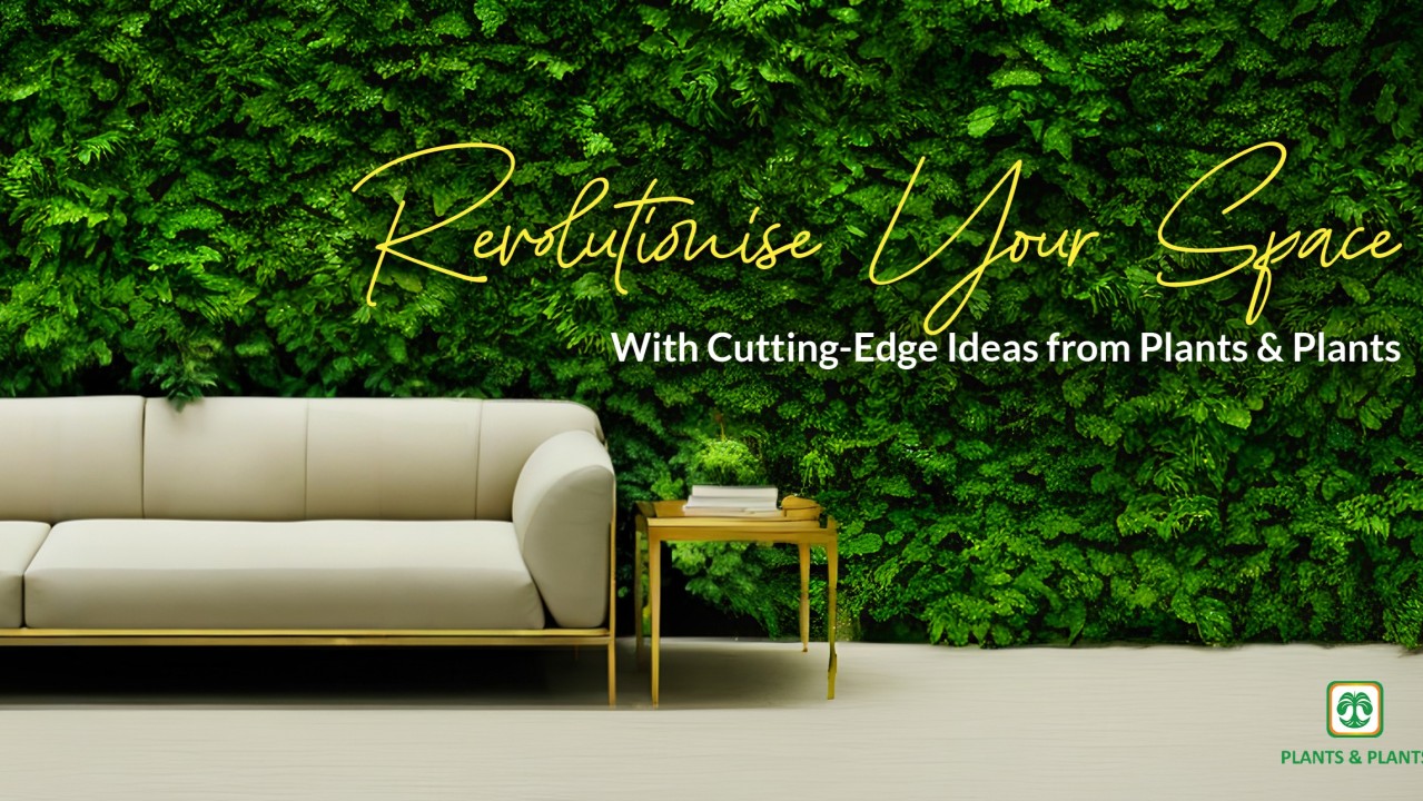 Revolutionise Your Green Space with Cutting-Edge Ideas from Plants & Plants Revolutionise Your Green Space with Cutting-Edge Ideas from Plants & Plants