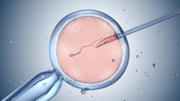 India Artificial Insemination Market Size, Share, Trends and Outlook ... India Artificial Insemination Market Size, Share, Trends and Outlook ...