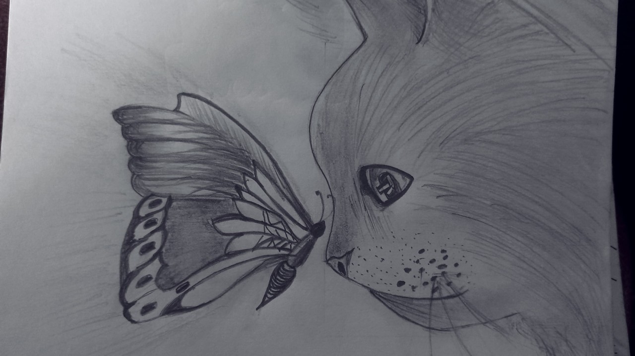 Turning Passion into Pencil Strokes Turning Passion into Pencil Strokes