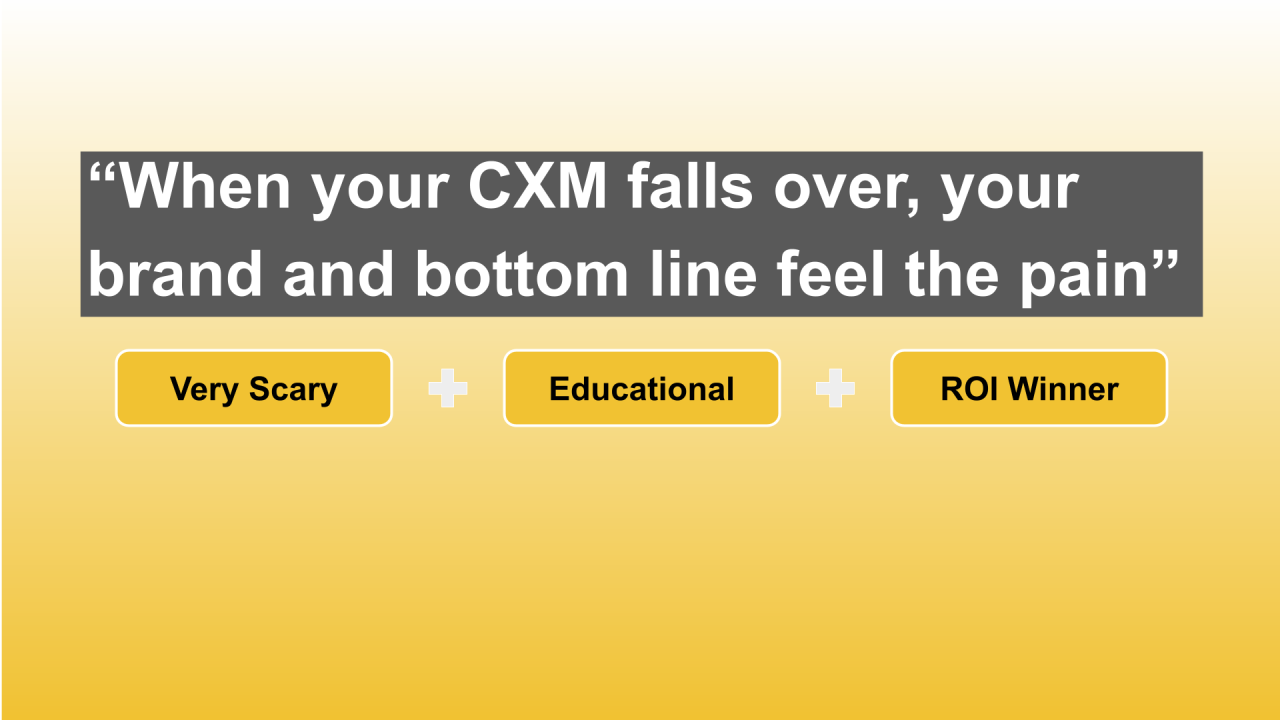 BIG QUESTION. Why Does CX Fail? BIG QUESTION. Why Does CX Fail?