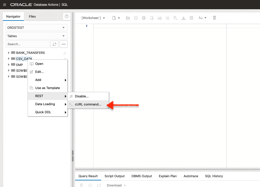 ETags and Oracle REST APIs ETags and Oracle REST APIs