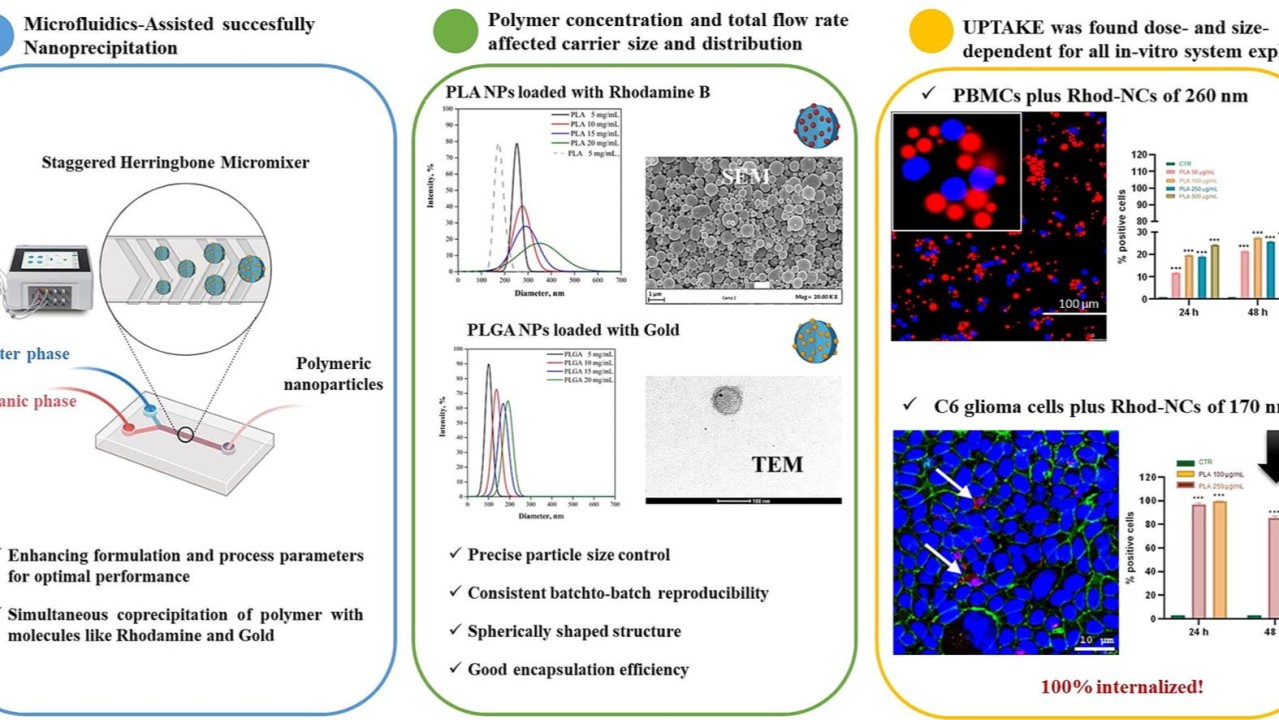 Microfluidics-Assisted Nanoprecipitation Shows Promise for Theranostic ... Microfluidics-Assisted Nanoprecipitation Shows Promise for Theranostic ...