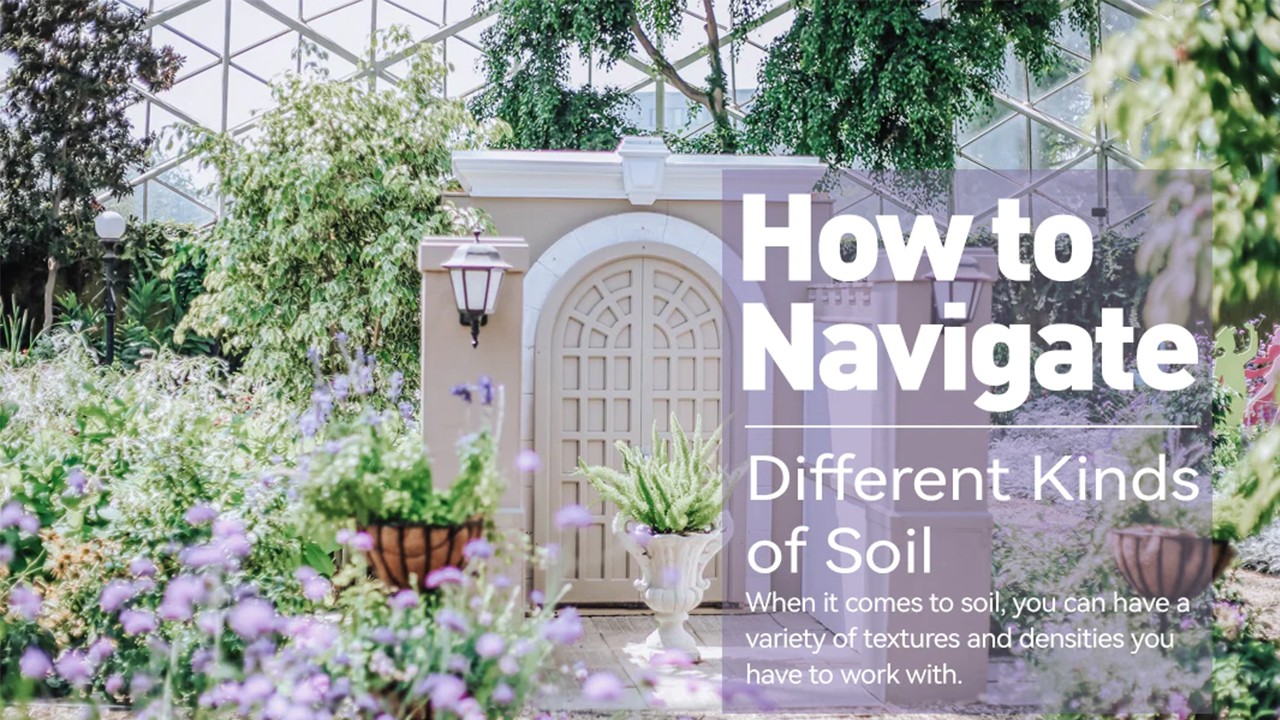 How to Navigate Different Kinds of Soil | Fiona Mizuki How to Navigate Different Kinds of Soil | Fiona Mizuki