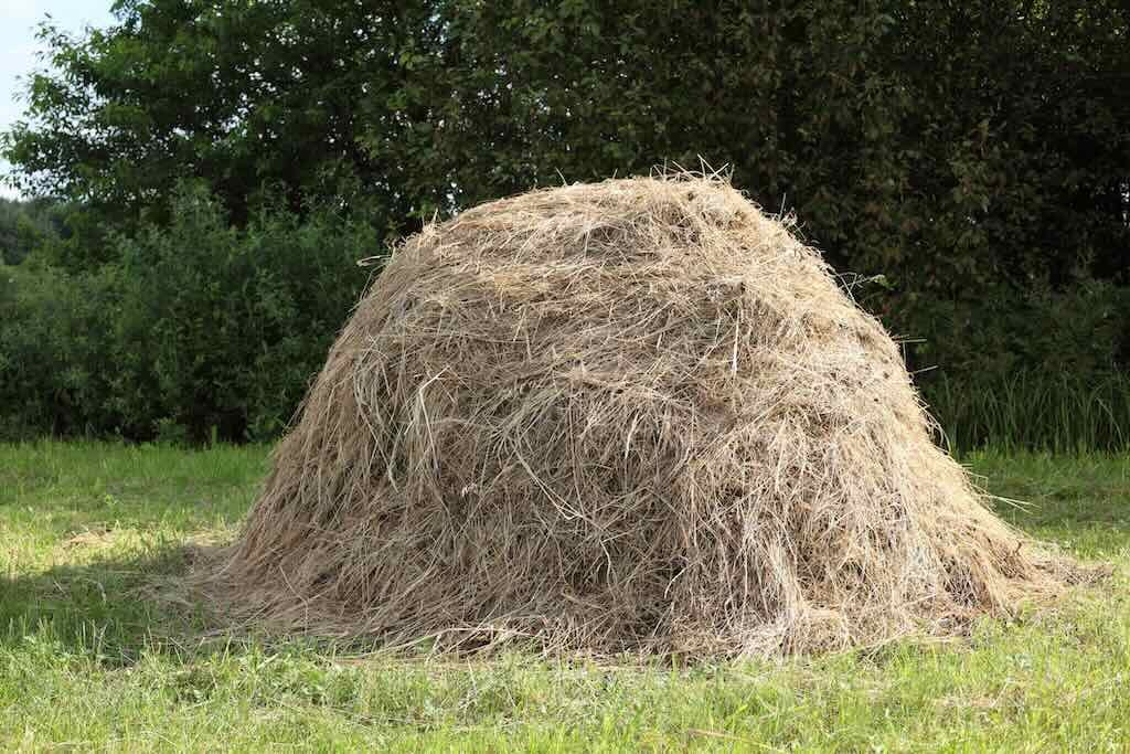 How to Find a Needle in a Haystack How to Find a Needle in a Haystack