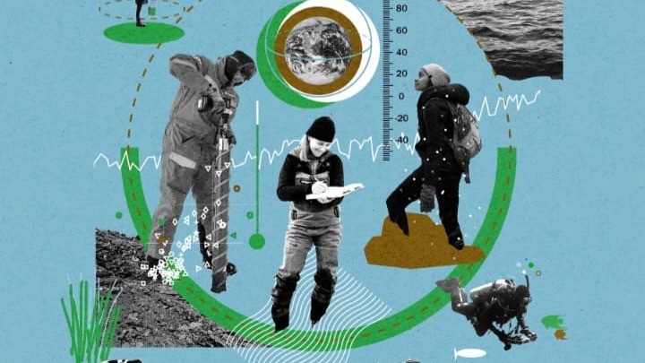 The skills needed to tackle the climate crisis The skills needed to tackle the climate crisis
