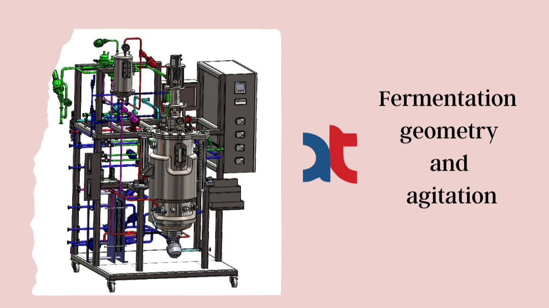Innovations in fermentation geometry and agitation: Optimizing ... Innovations in fermentation geometry and agitation: Optimizing ...