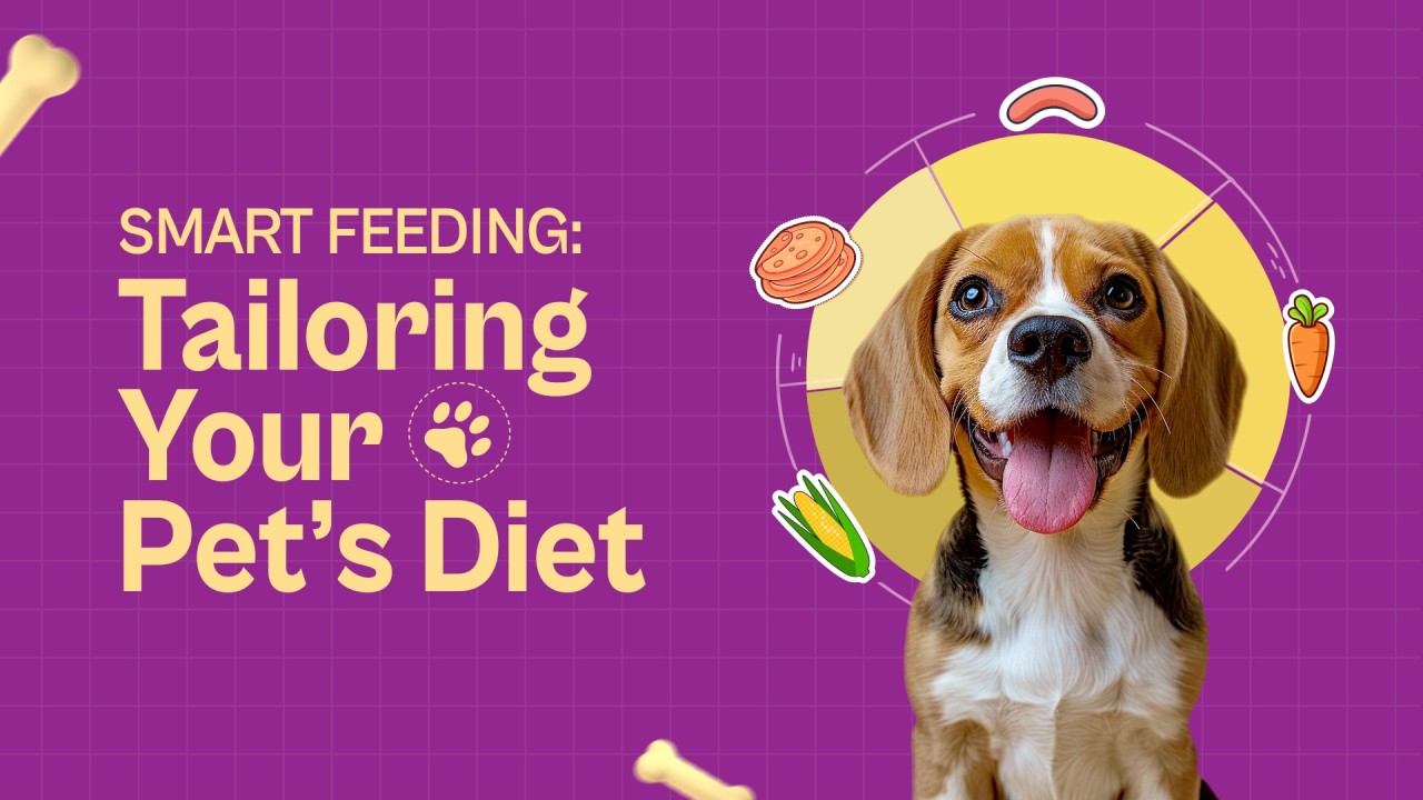 Smart Feeding: Tailoring Your Pet’s Diet for Balanced Nutrition Smart Feeding: Tailoring Your Pet’s Diet for Balanced Nutrition