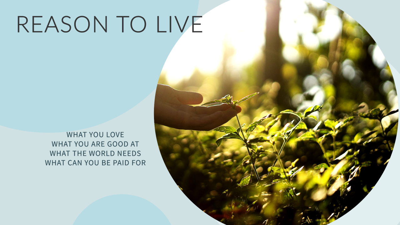 IKIGAI Reason to Live IKIGAI Reason to Live